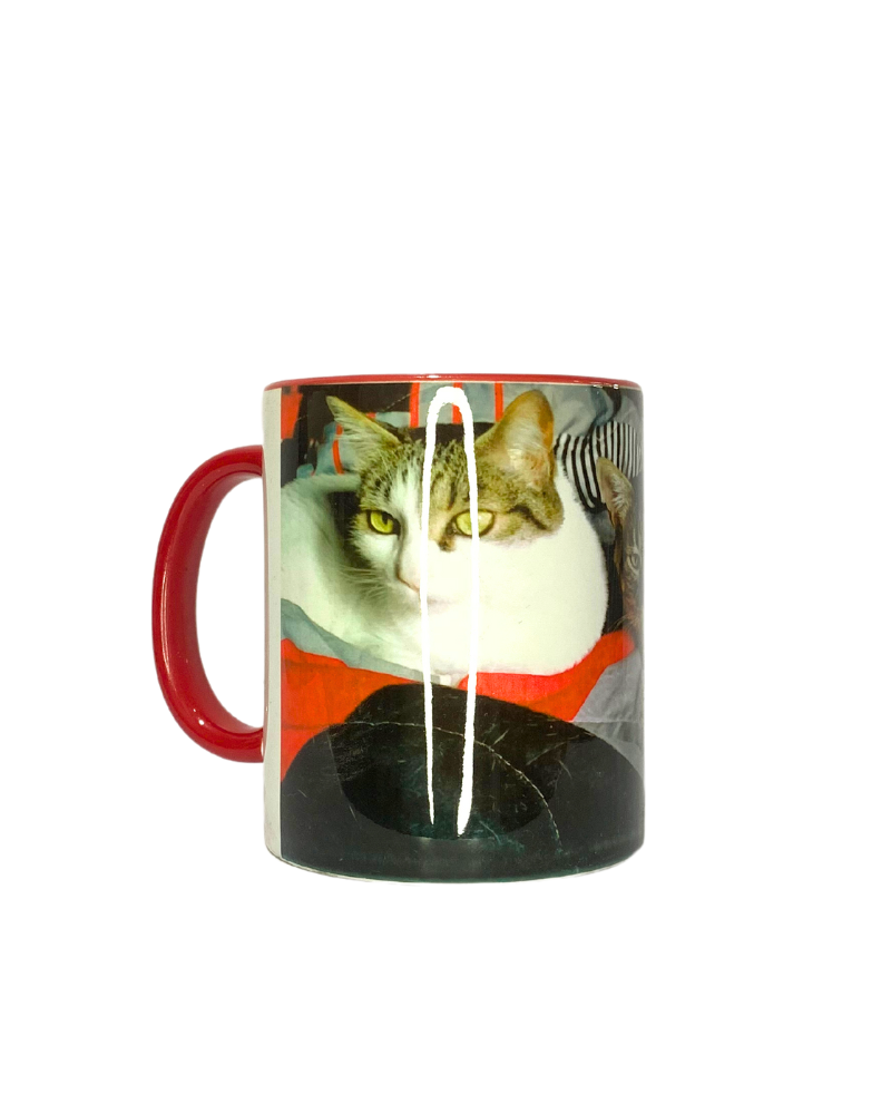 Mug Cats - Gráficas Fanel